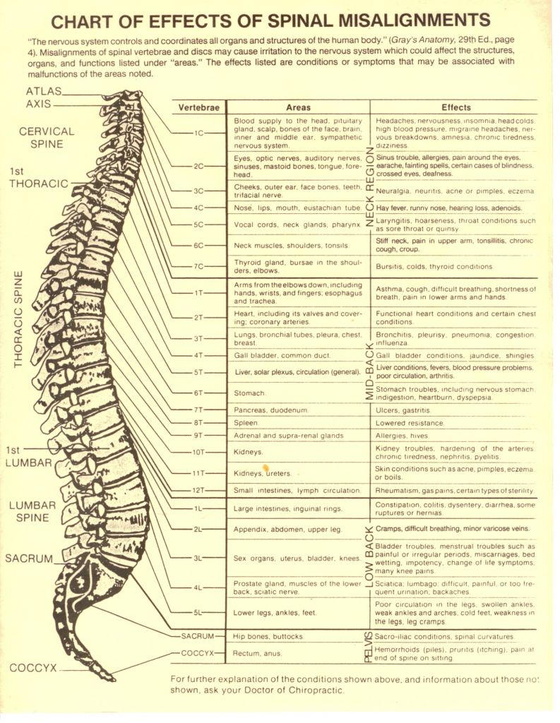 Common Questions - Marshall Family Chiropractic PC - Saint Clair MI
